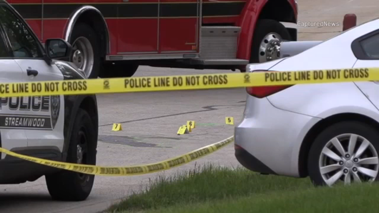 Woman hit, killed by vehicle in Streamwood: police