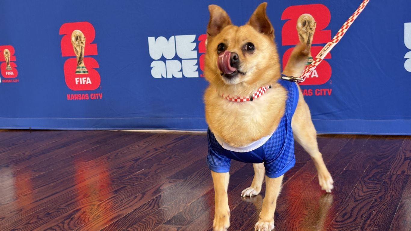 World Cup Fan Fest will allow dogs some days