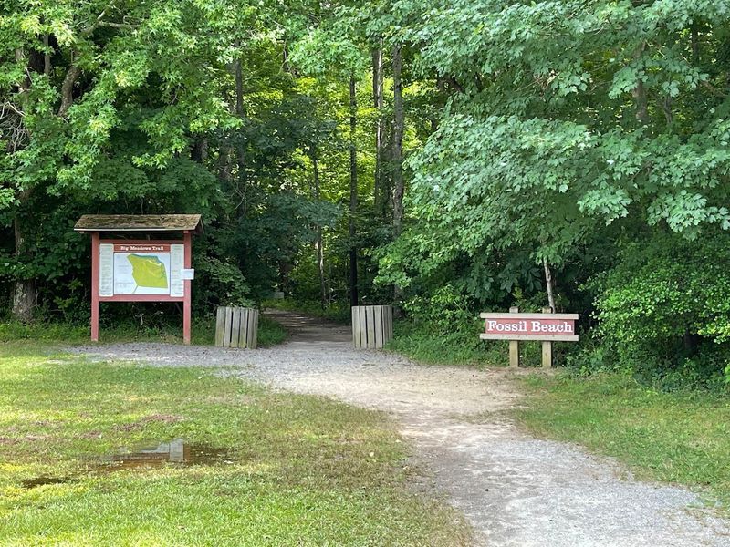 This Virginia state park features a riverbank where you can search for ...