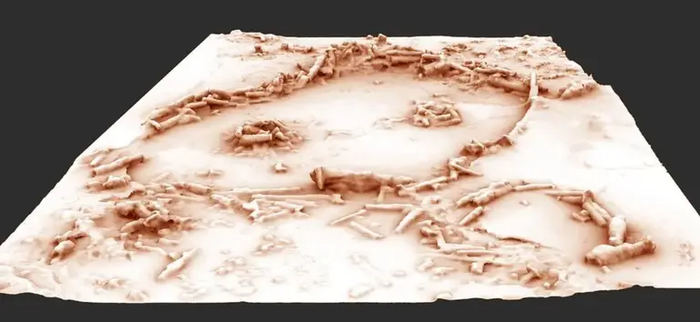 Scientists may have found a 175,000-year-old kneeprint deep inside a ...