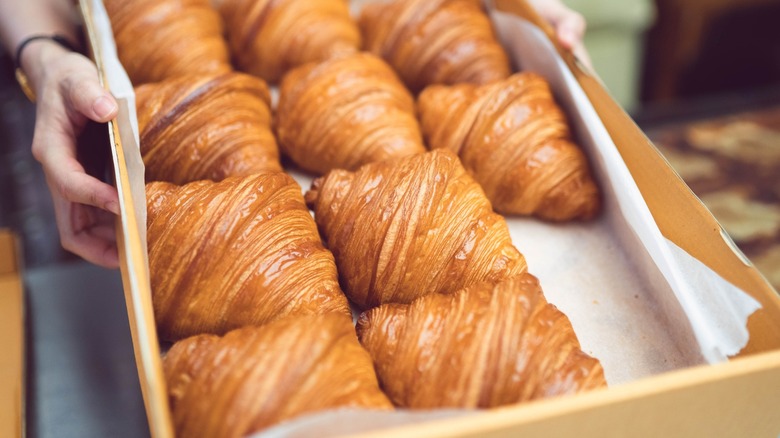 The 18 best French pastries you need to try at least once