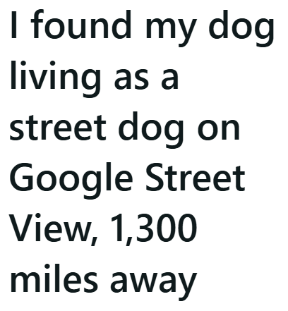 Pupper spotted in Mexico during Google Maps search leaves San Diego dog ...