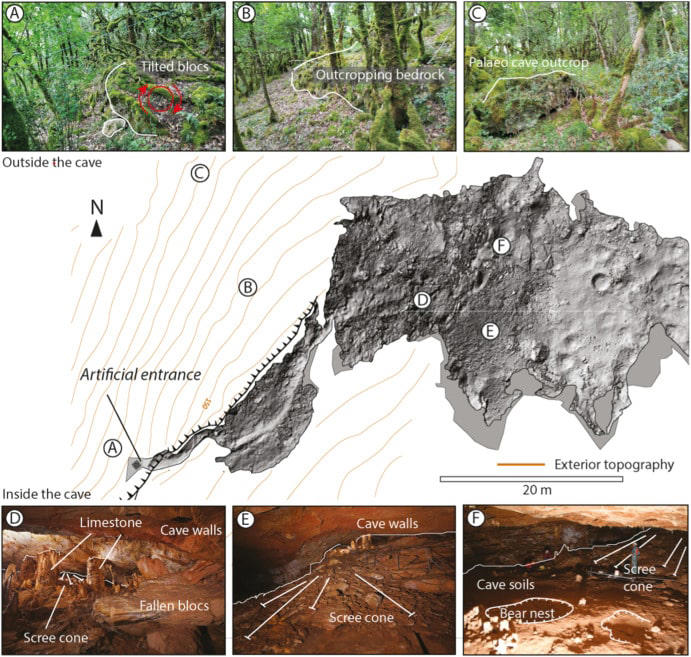 Scientists may have found a 175,000-year-old kneeprint deep inside a ...