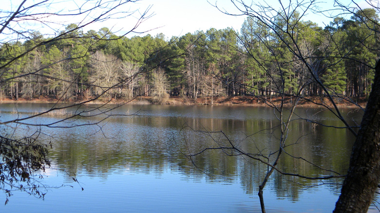 Tucked near the Texas border, this artificial Arkansas lake is a bass ...