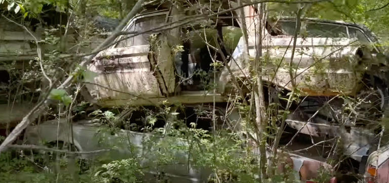 There are 4000 vehicles hidden on this property