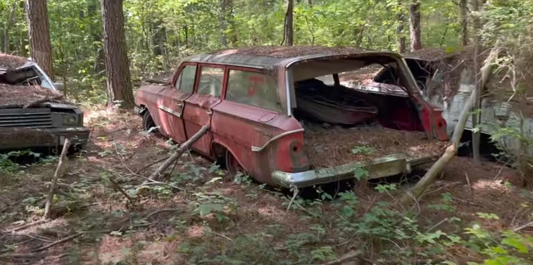 There are 4000 vehicles hidden on this property