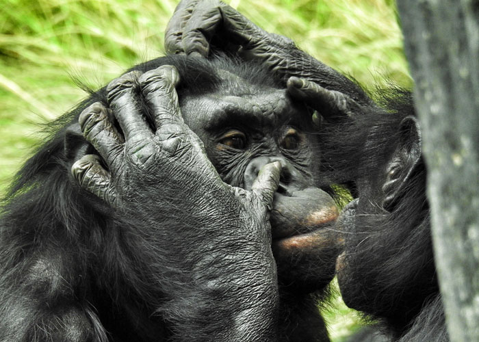 Zoo employee reveals 16 most interesting animal facts she learned at ...