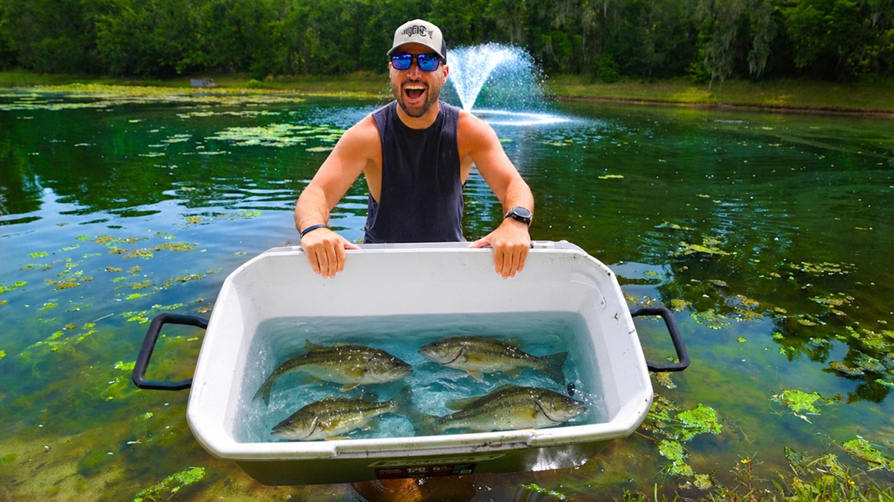 Transforming my pond with massive bass!