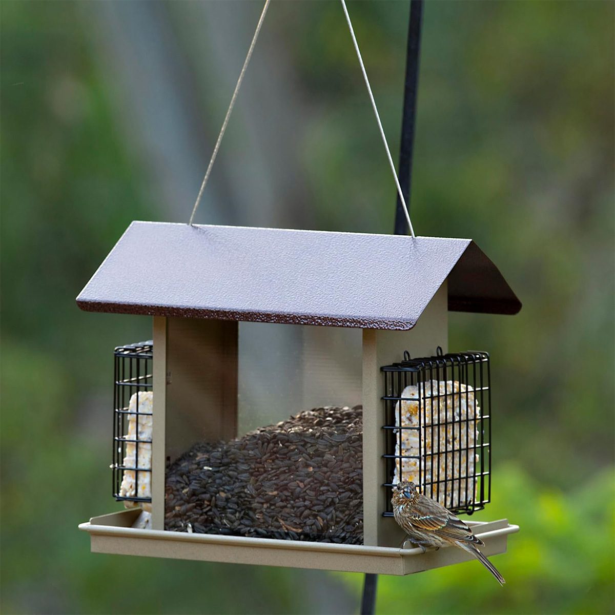 5 large-capacity bird feeders to feed a crowd