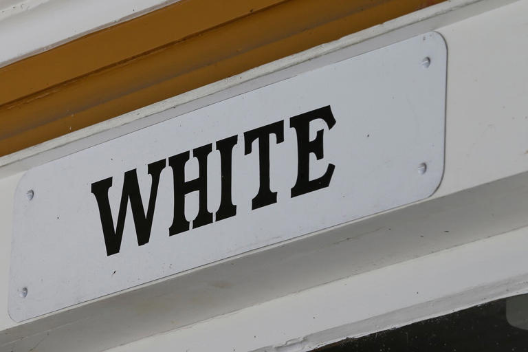 Separate and unequal: The 'Whites Only' sign was a visible reminder of ...