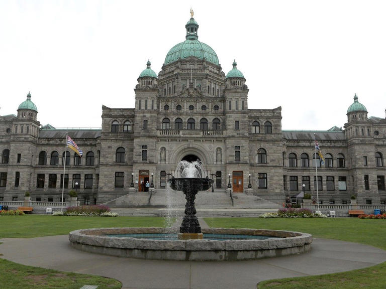 BC to settle class action over birth alerts that separated newborns ...