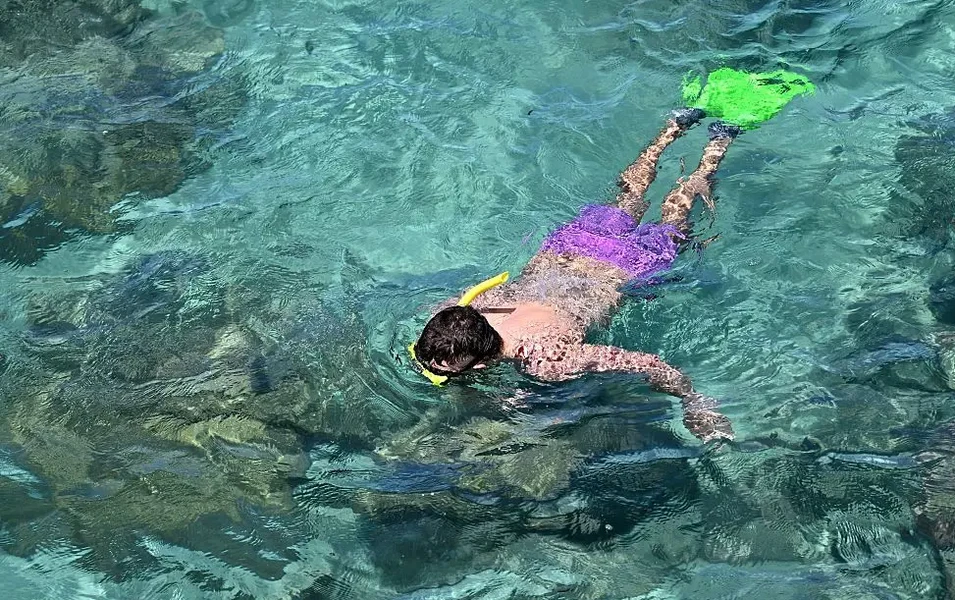 Queensland adventures from reef to rainforest