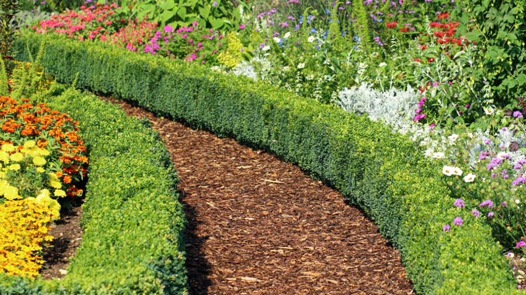 Garden edging ideas that make for the perfect landscaping
