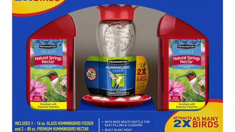 Shoppers 'couldn't be more satisfied' with Sam's Club's $20 hummingbird ...
