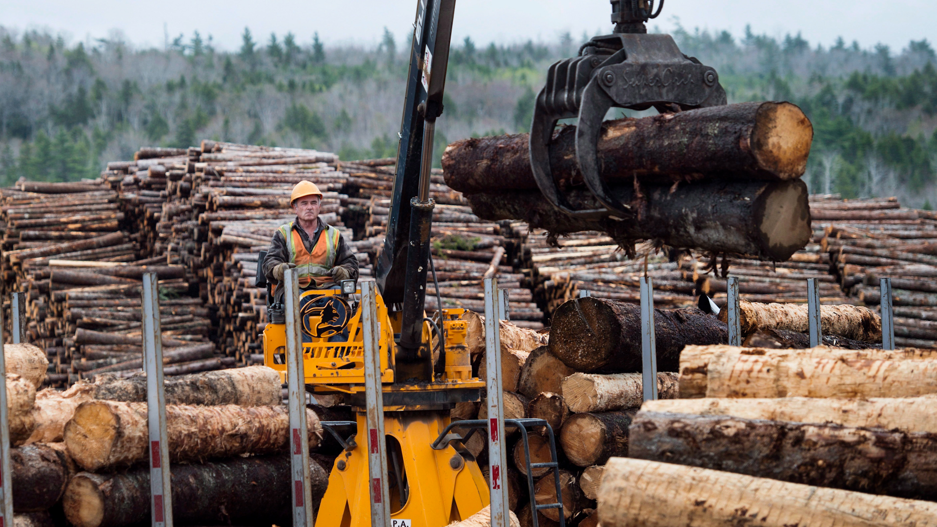 Feds, Nova Scotia invest $13.8M to support workers, employers impacted ...