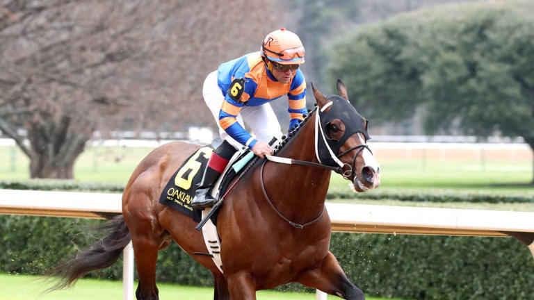 'He can handle anything': Obliteration returns in Chick Lang Stakes
