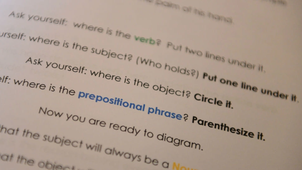 Master English sentences for real conversations