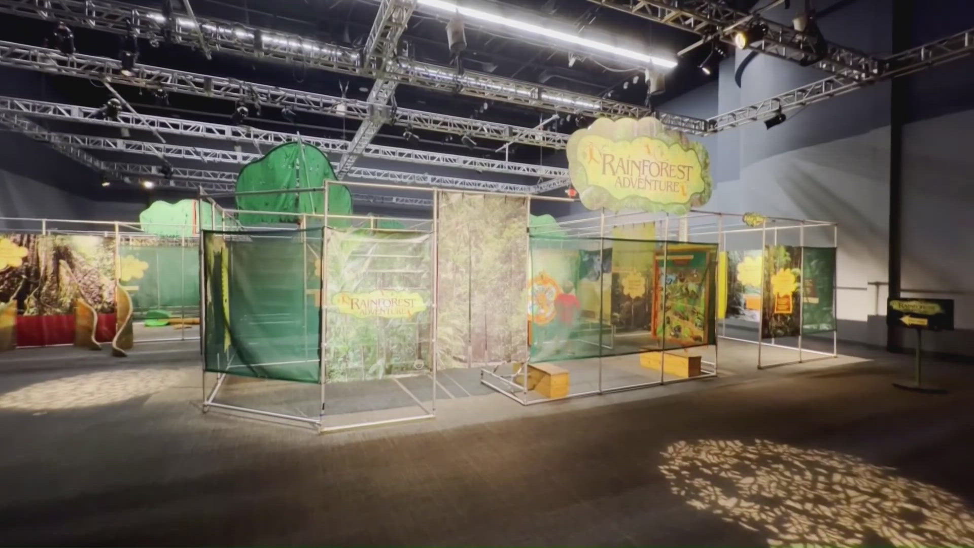 Rainforest adventure | What 2 see at GSC