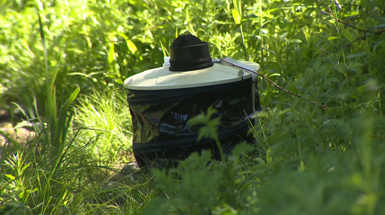Milford Health Department kicks off 2026 mosquito control program
