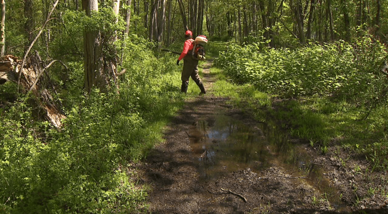 Milford Health Department kicks off 2026 mosquito control program