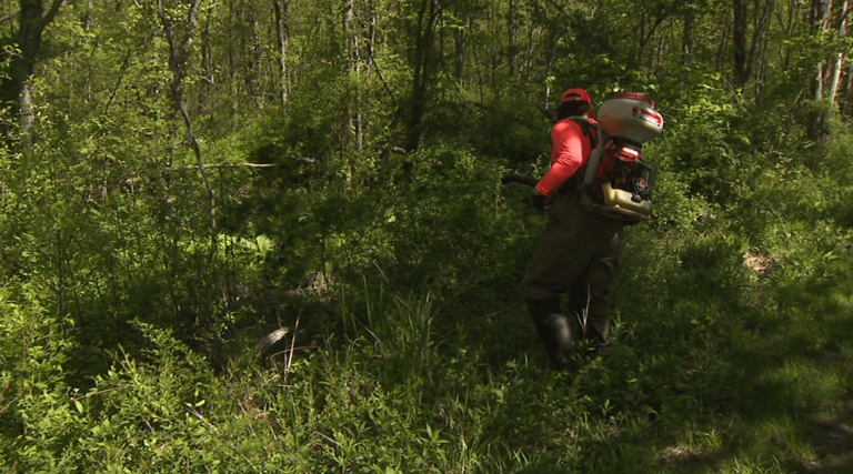 Milford Health Department kicks off 2026 mosquito control program