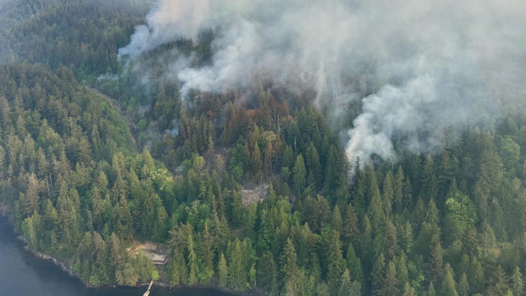 'Still too dry': Campfire ban remains for some BC South Coast ...