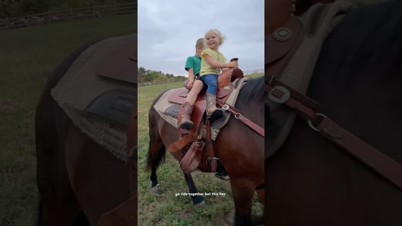 Our big horse dream…