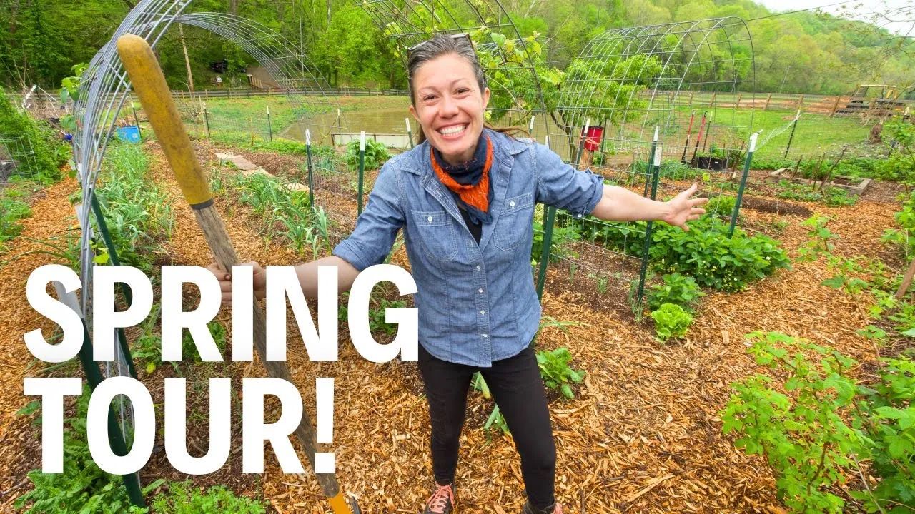 Lazy gardening tips for a flourishing garden