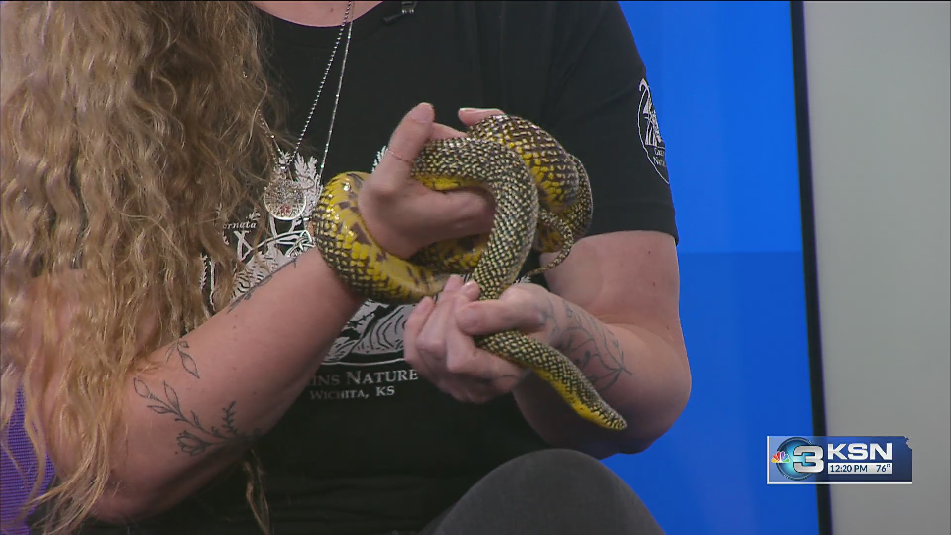 Great Plains Nature Center on why you could see more snakes in Kansas