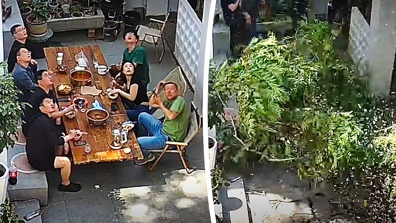 Family meal interrupted after loud cracking sound sparks panic