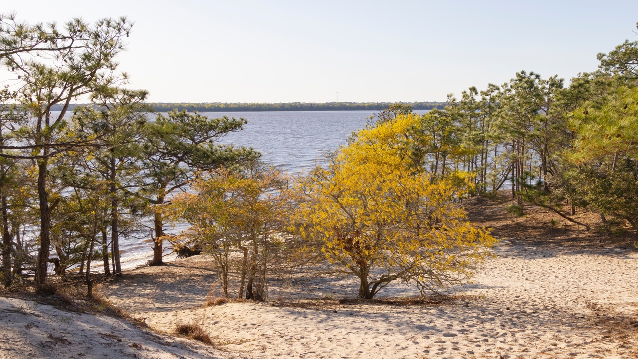 Most people drive past this free North Carolina park and miss wild ...