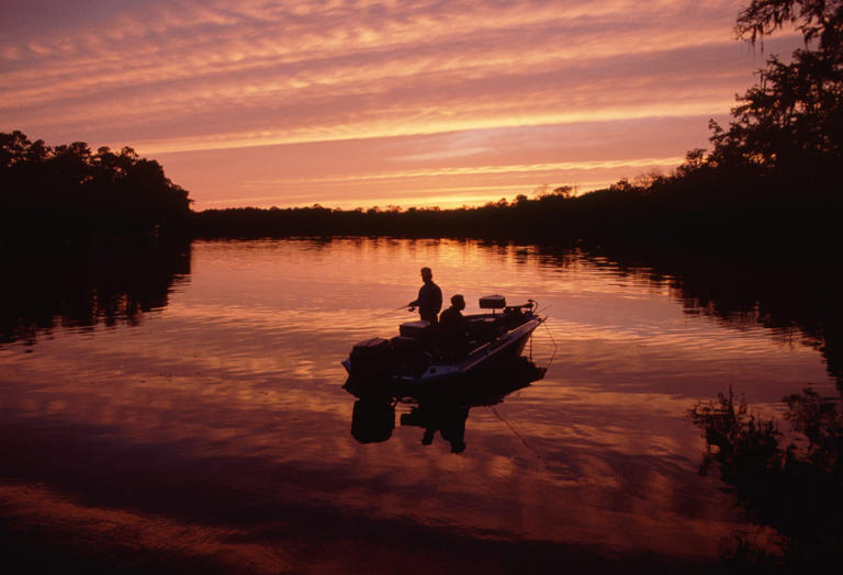 Cat’s out of the bag: Record blue catfish makes Florida history