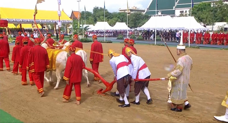 เปิดผลเสี่ยงทาย วันพืชมงคล 69 พระโค กินถั่ว-น้ำ-หญ้า-เหล้า