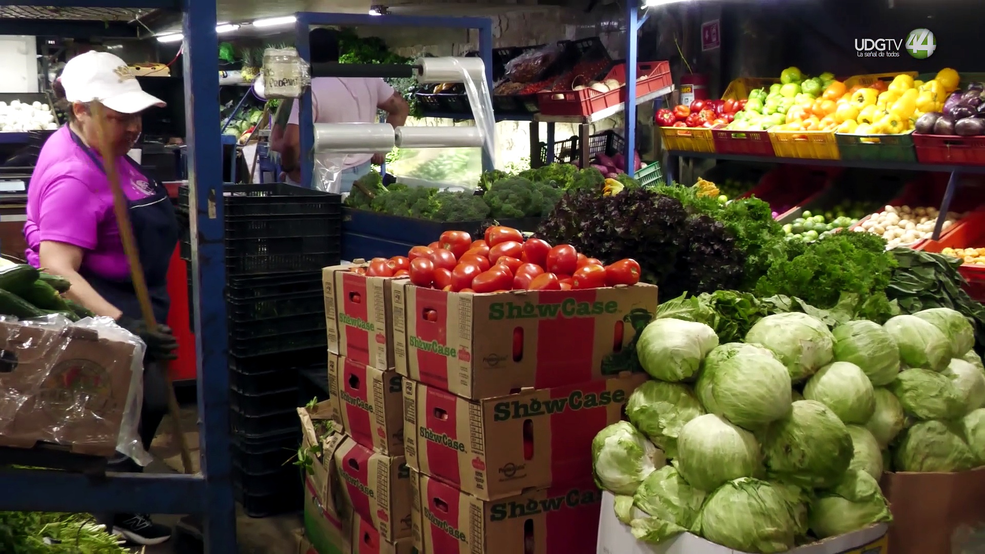 De 15 a 100 pesos el jitomate en Abastos, pero ya empieza a bajar