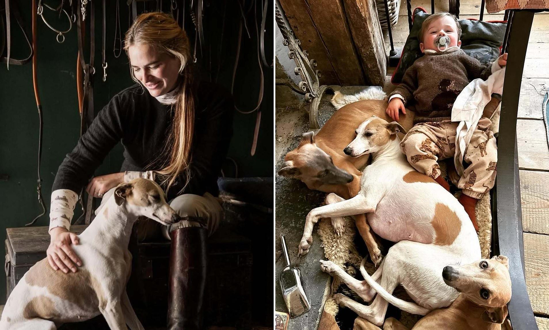 Britain's most famous huntswoman makes desperate plea after her beloved ...
