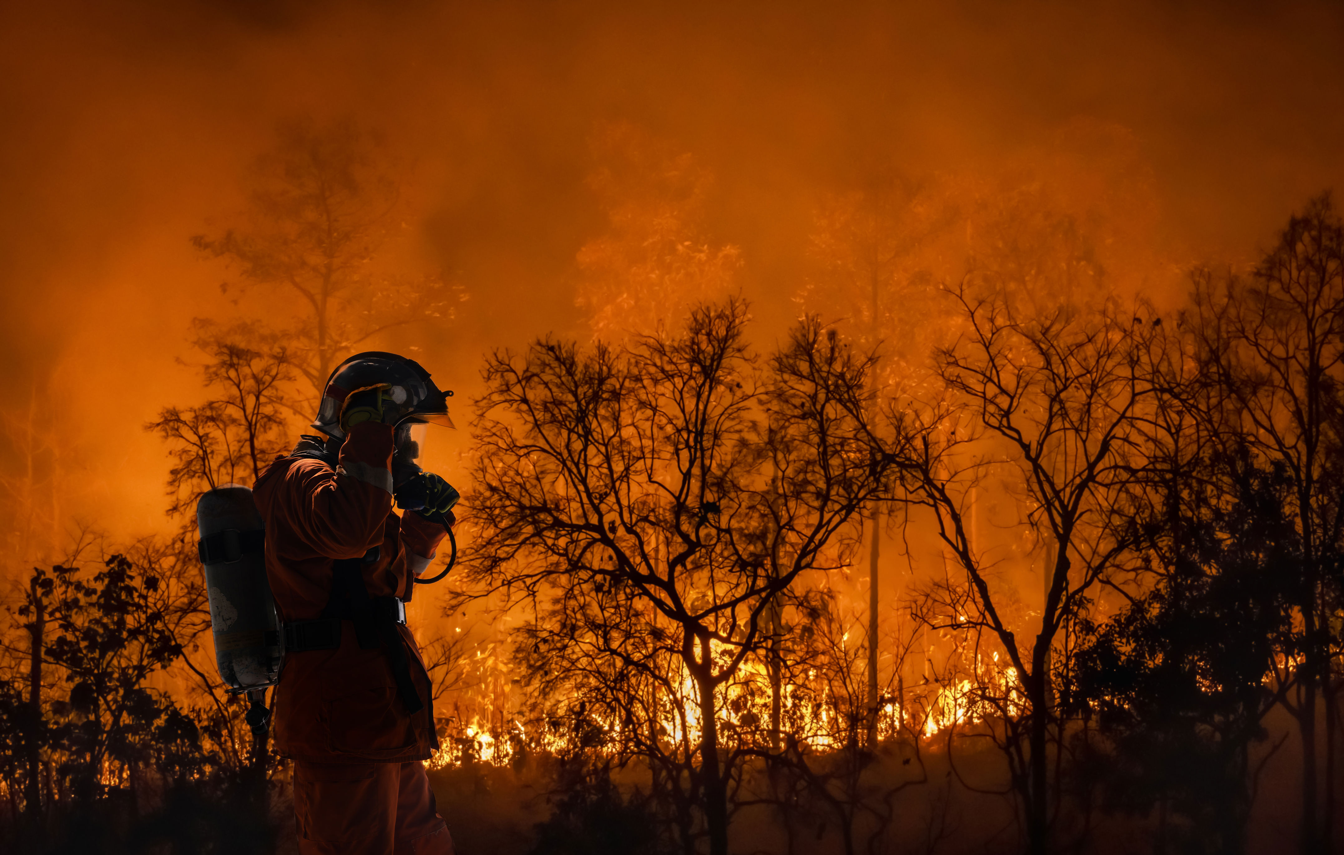 New map shows states with significant wildfire chances