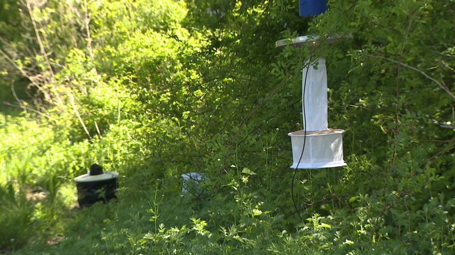 Milford Health Department kicks off 2026 mosquito control program