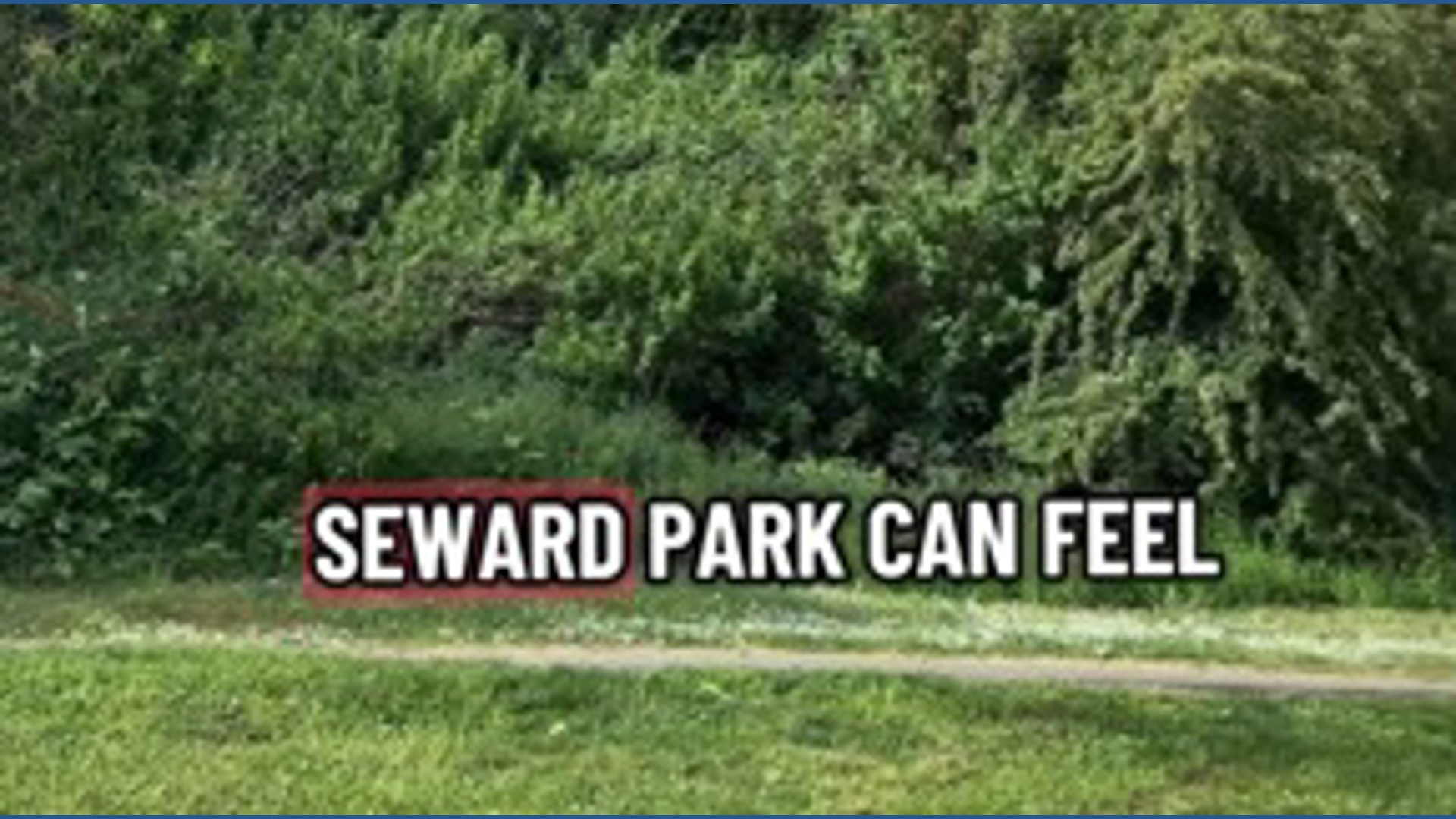 State leaders pushing to protect urban forestry funding