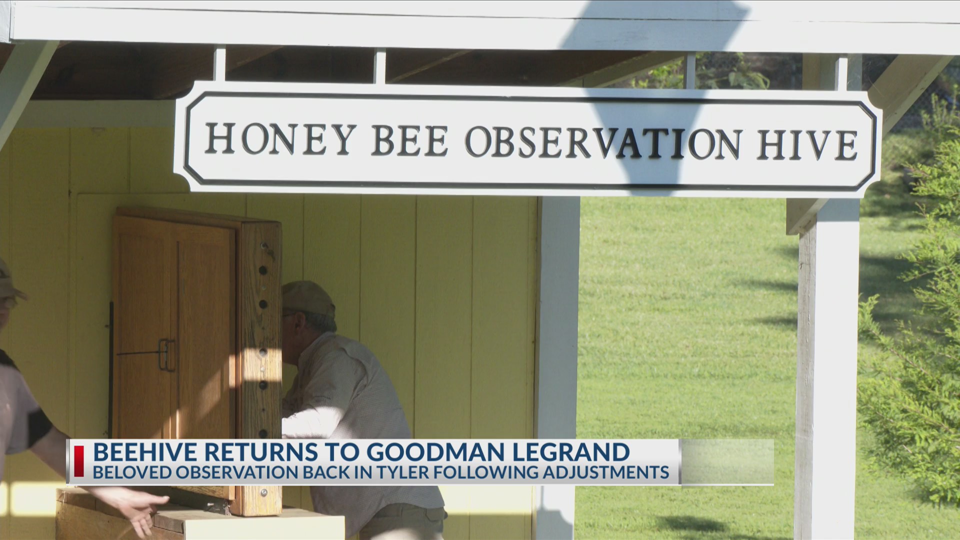 Observation beehive returns to Tyler's Goodman LeGrand Museum after repairs