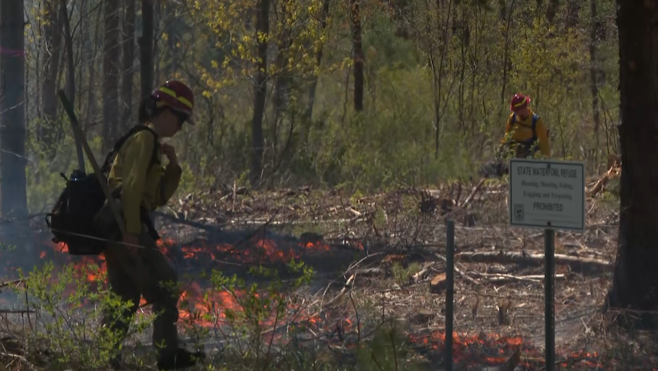 Controlled burn at Milton wildlife management area expected to wrap up ...