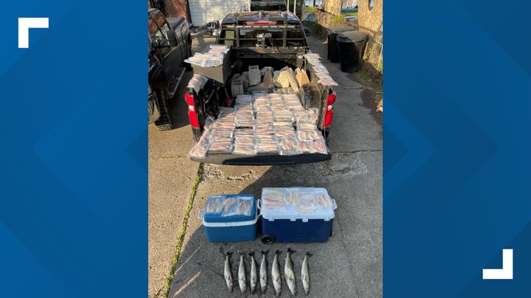 Northern Michigan anglers caught with more than double the daily legal ...