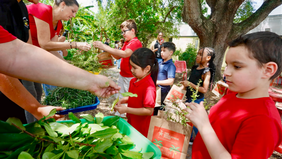 Food forests for schools: Michael Miller with Debi La Belle & Sarah Emola