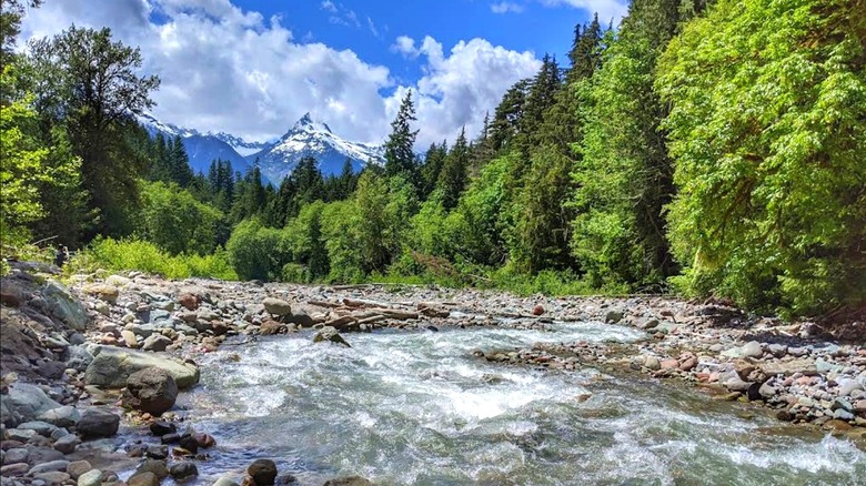 North of Vancouver is Canada's family-friendly lake park with fishing ...
