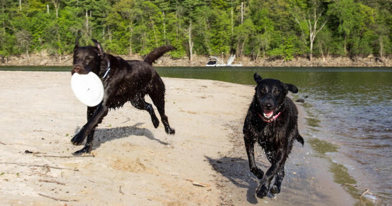 This small-town state park in Wisconsin feels like a local secret