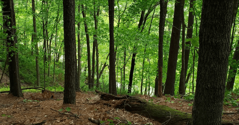 This small-town state park in Wisconsin feels like a local secret