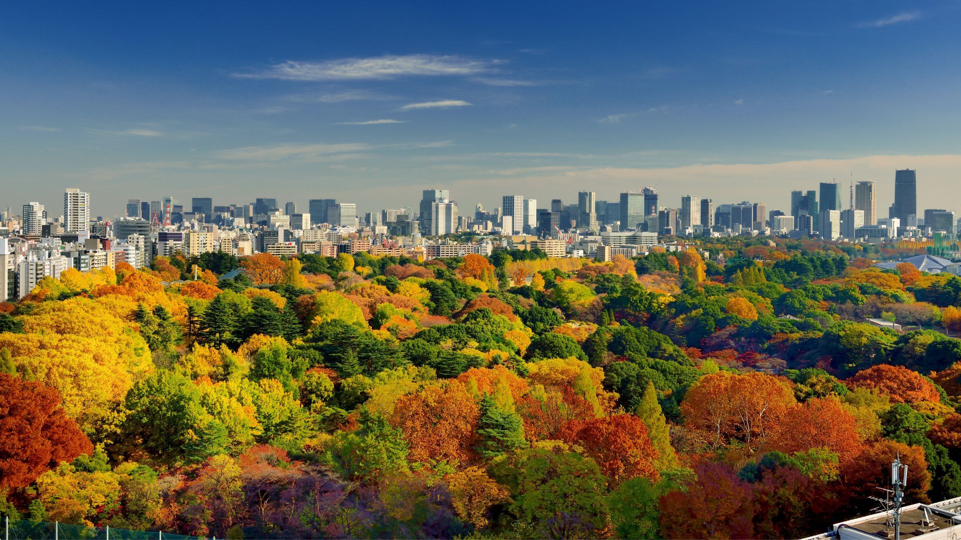 Mighty oaks, blooming fields and historic houses - discover the best ...
