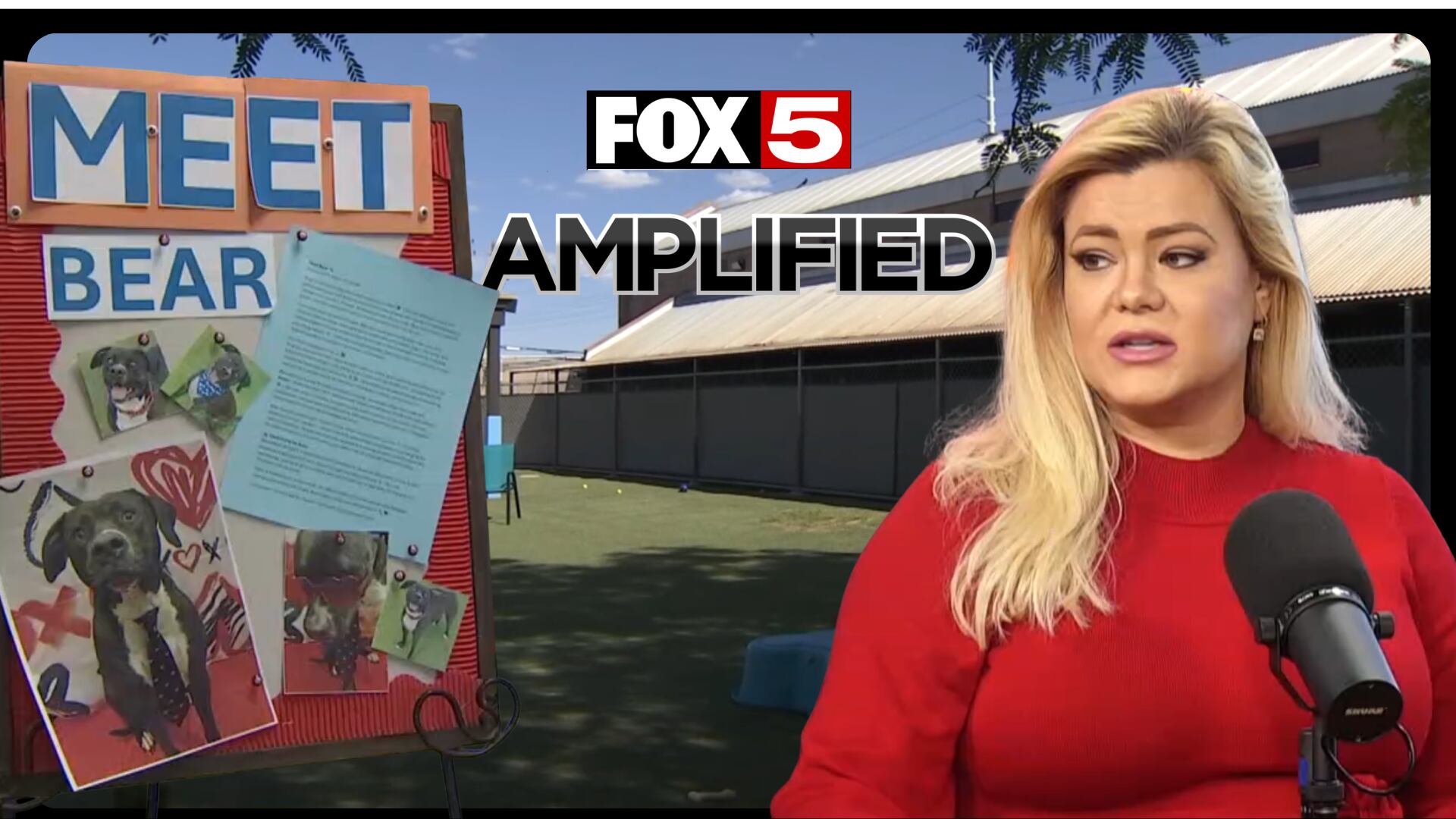 Amplified: Henderson Animal Shelter set for major upgrades as city ...