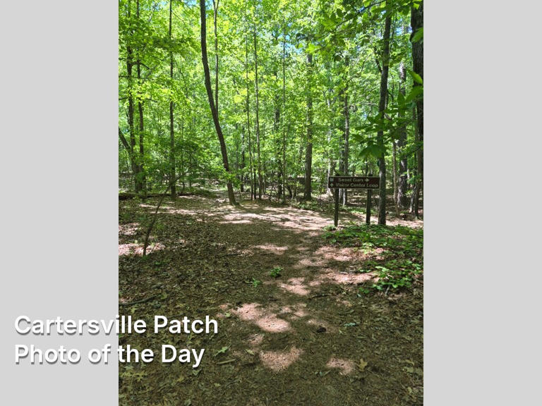 🌱 Patch AM: Cartersville bar stabbing suspect jailed after late-night ...
