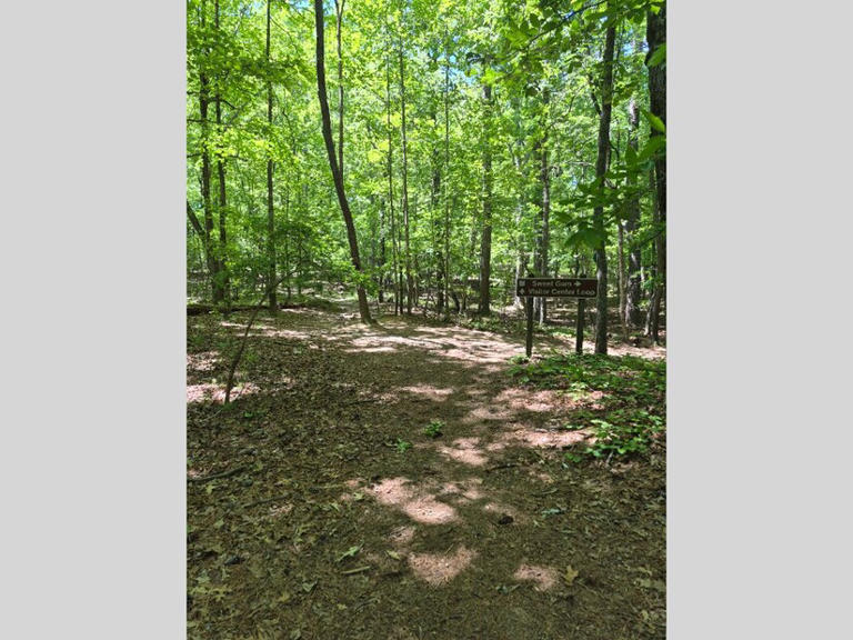 🌱 Patch AM: Cartersville bar stabbing suspect jailed after late-night ...