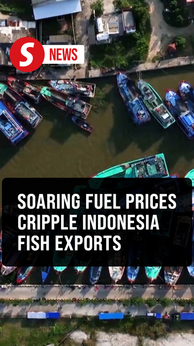 Rising fuel prices strand hundreds of fishermen